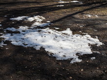 Patches Of Snow On Ground Free Stock Photo - Public Domain Pictures