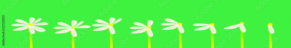 daisy cycle, vector clipart. vector art Stock Vector | Adobe Stock
