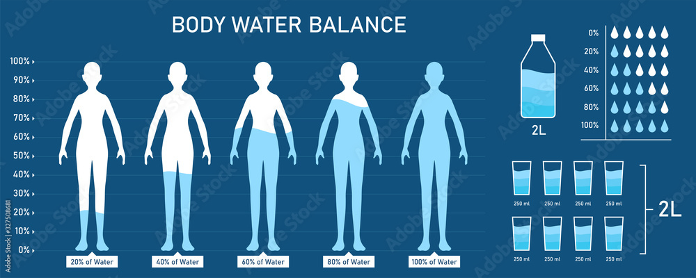 Creative vector illustration of Water balance infographic, human body ...