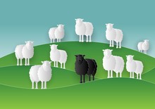 Black Sheep In Family Metaphor Free Stock Photo - Public Domain Pictures