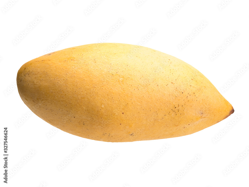 Graphic resources: isolated object fruit of a plant of the genus Mango ...