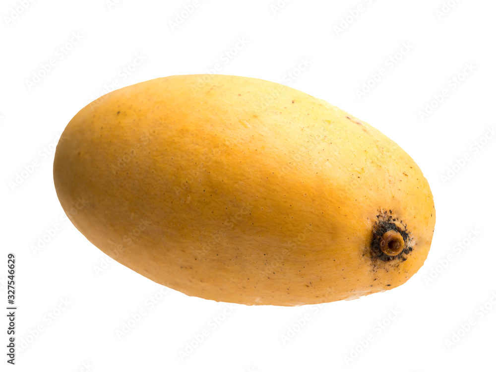 Graphic resources: isolated object fruit of a plant of the genus Mango ...