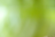 Green Mottled Desktop Background Free Stock Photo - Public Domain Pictures