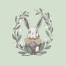 Vintage Illustration Art Bunny Free Stock Photo - Public Domain Pictures