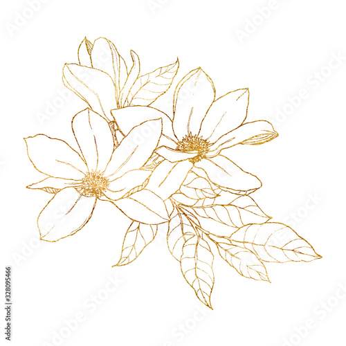 Watercolor Line Drawing Flowers | Best Flower Site