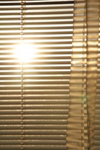 Bamboo Blinds Background Free Stock Photo - Public Domain Pictures