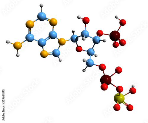 3D image of 3-phosphoadenosine-5-phosphosulfate skeletal formula ...