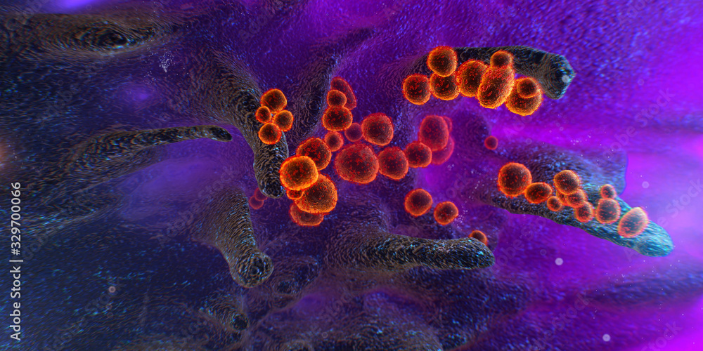 Scanning electron microscope image shows SARS-CoV-2, 2019-nCoV, the ...