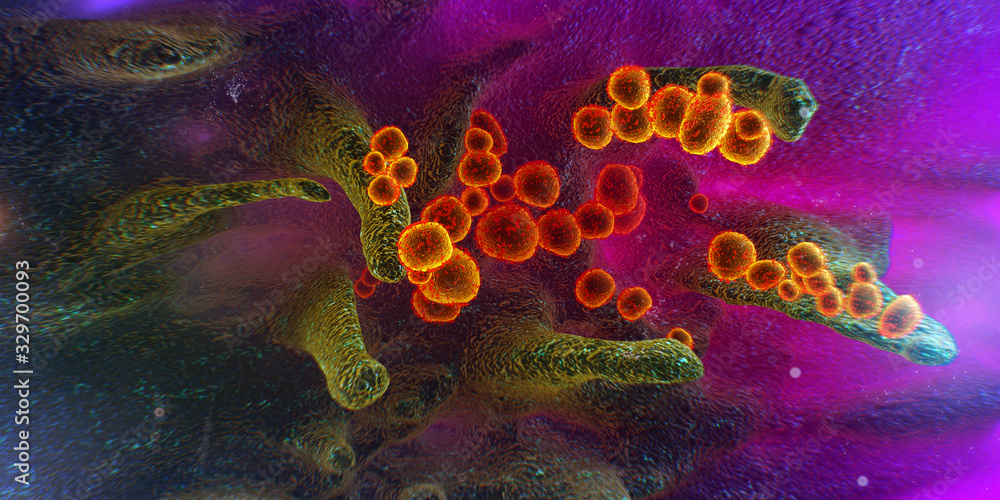 Scanning electron microscope image shows SARS-CoV-2, 2019-nCoV, the ...