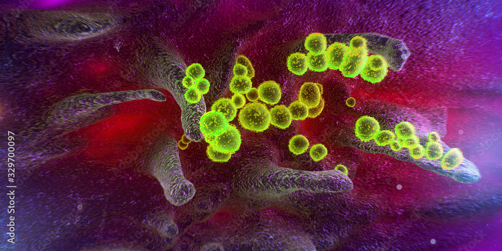 Scanning electron microscope image shows SARS-CoV-2, 2019-nCoV, the ...