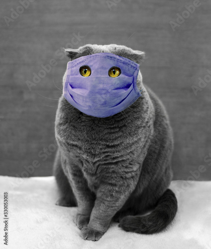 Contemporary art collage. Cat in medical mask. Protect your pets from ...