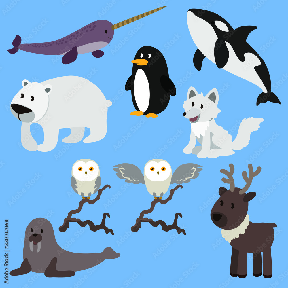 Arctic animals vector cartoon illustration Stock Vector | Adobe Stock