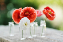 Happy Birthday Red Poppy Flowers Free Stock Photo - Public Domain Pictures