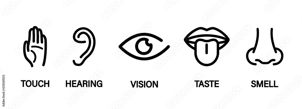 Five human senses: Hearing, Sight, Smell, Taste and Touch. Simple line ...