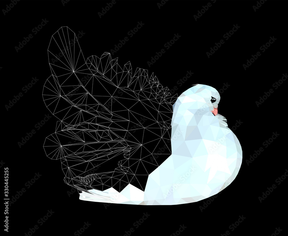 White dove pigeon low poly triangular vector illustration isolated on ...