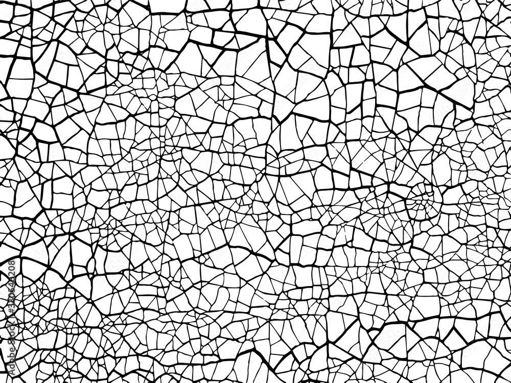 The cracks texture white and black. Vector background.Cracked earth ...
