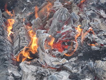 Camp Fire Coals Free Stock Photo - Public Domain Pictures