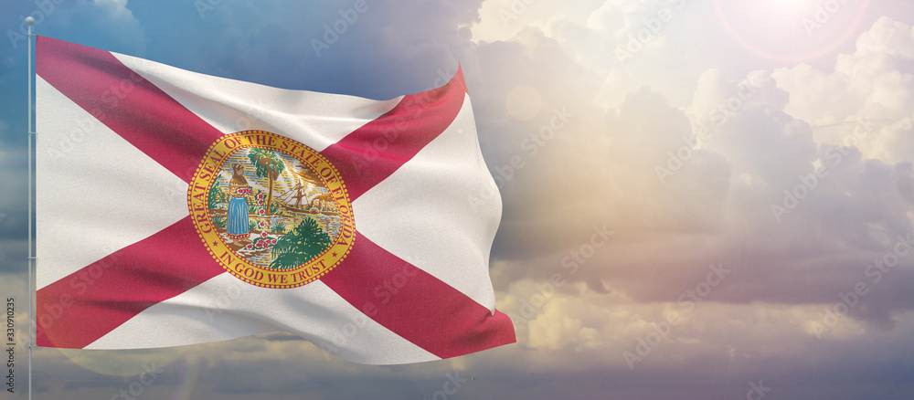 Flags of the states of USA. State of Florida flag. Waving flag on ...