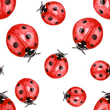 Red Ladybug Clipart Free Stock Photo - Public Domain Pictures