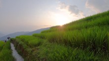 Chinese Dragon Chasing Sun Free Stock Photo - Public Domain Pictures