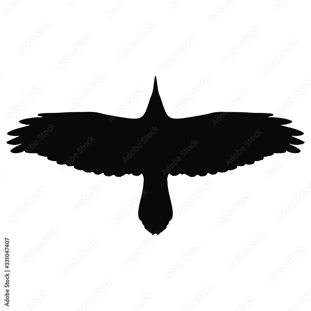 Isolated vector illustration. Silhouette of flying raven bird. Stock ...