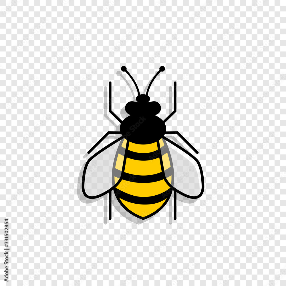 Bee with shadow, isolated on transparent background. Bee in different ...