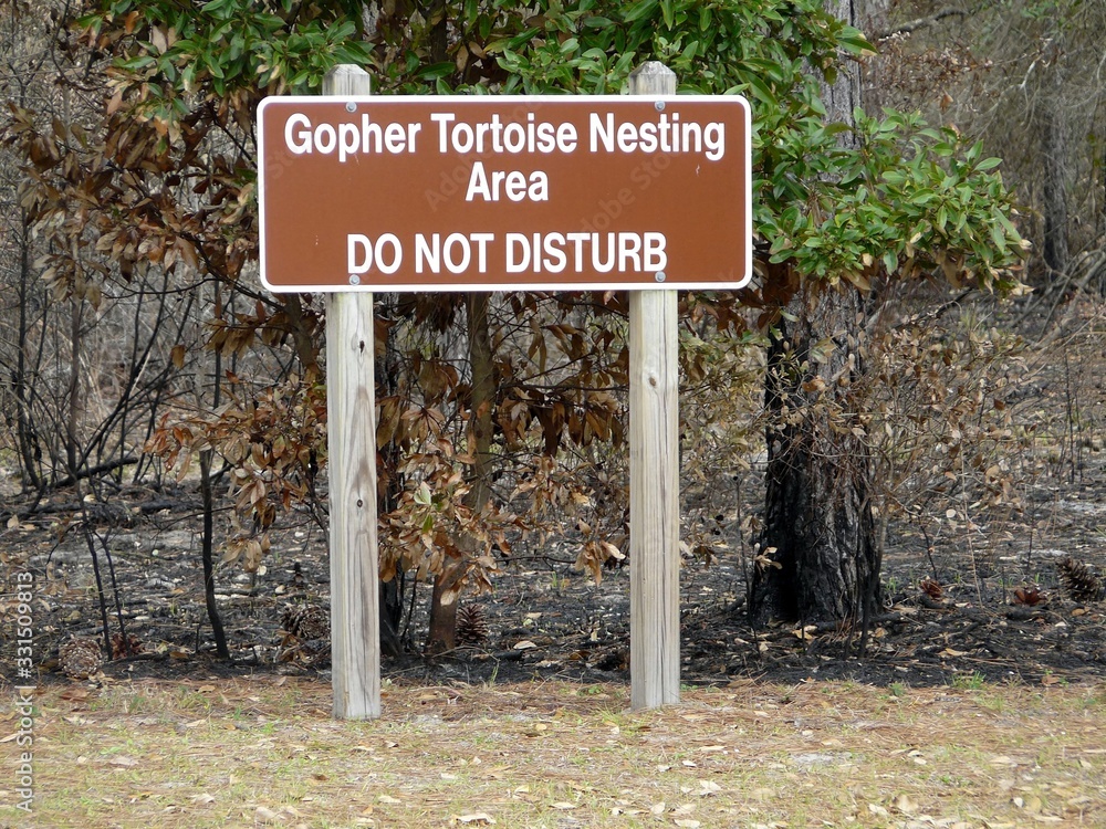 Foto stock di Endangered Gopher Tortoise Nesting Area Sign. A sign ...