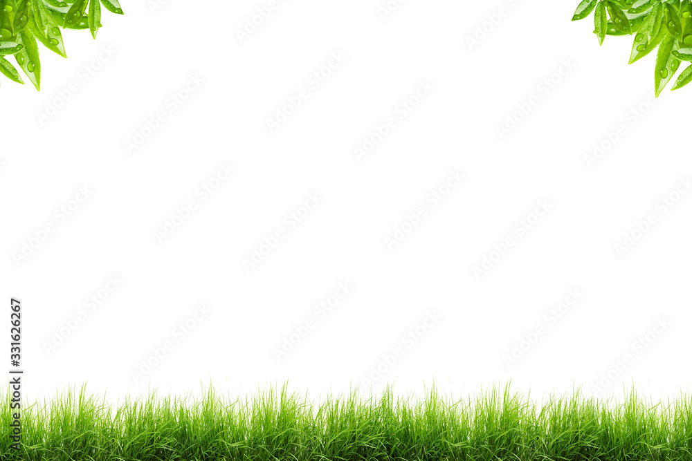 Green grass Square frame lawn banner. Border frame isolated transparent ...