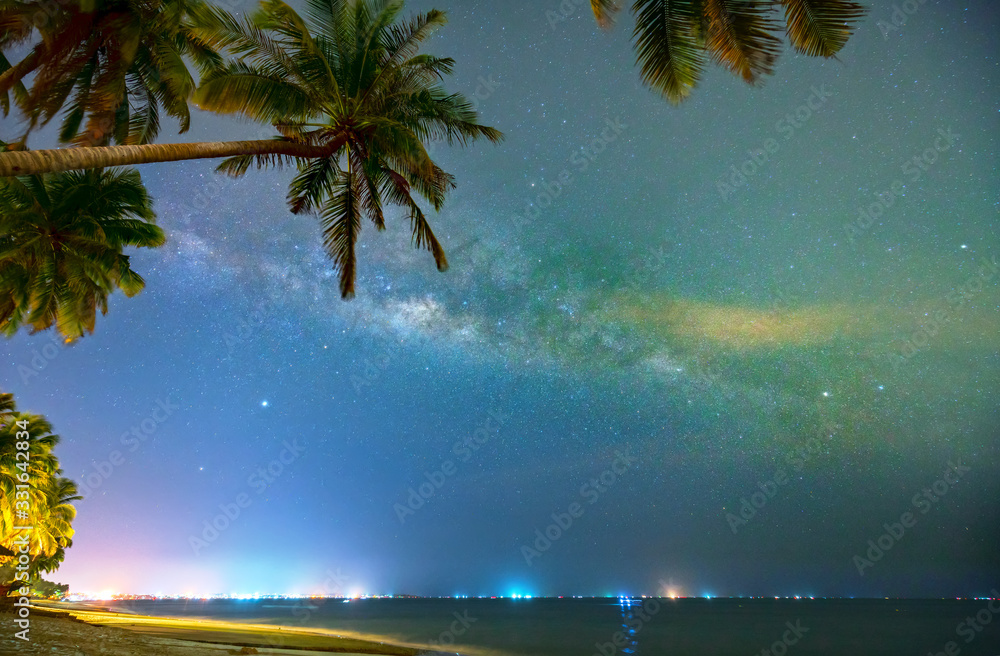 Midnight sea landscape with coconut palm tree Silhouette and Milky Way ...
