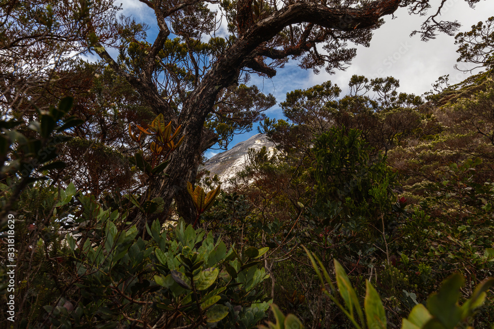 Climbing Mount Kinabalu, Sabah, Borneo, Malaysia. The highest mountain ...