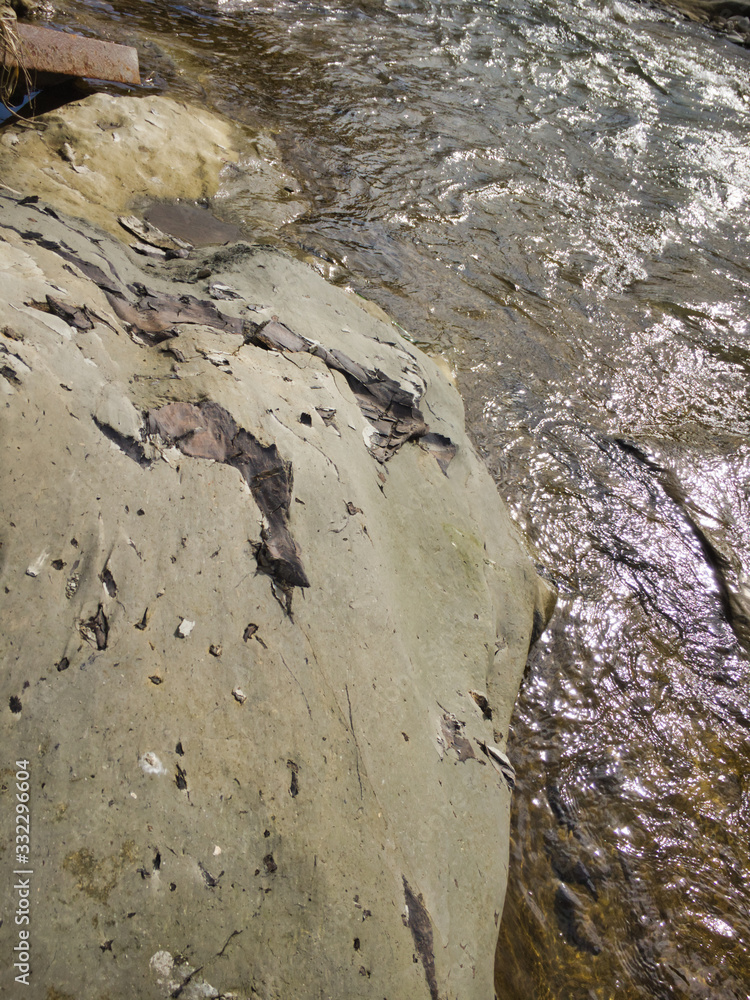 2020 shocking sight. Miracle fossils. This buried tree has appeared for ...