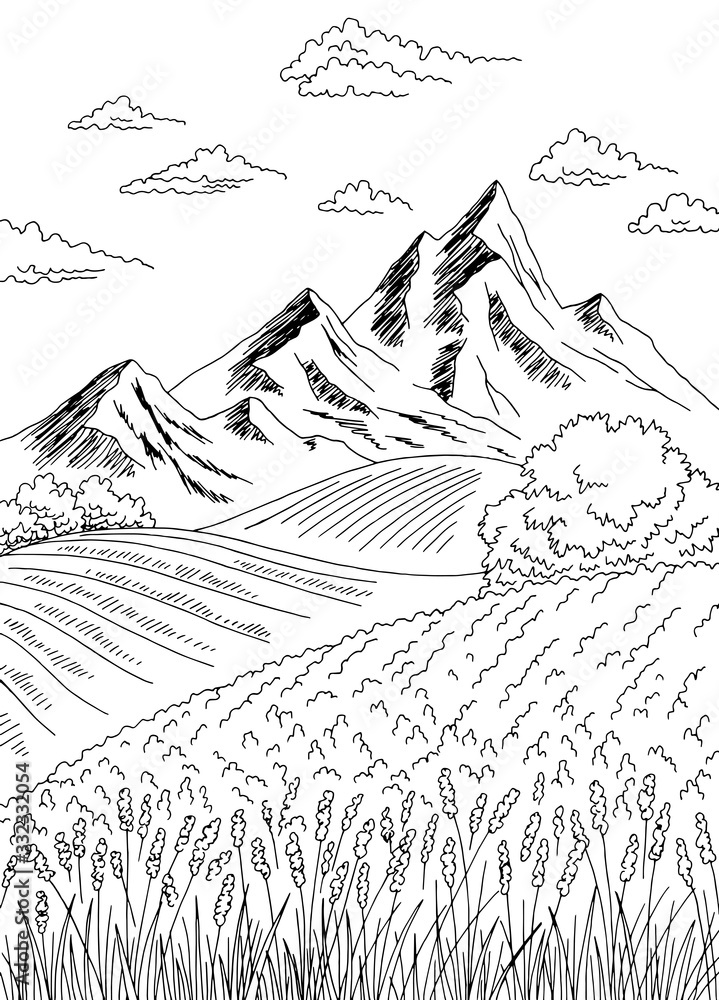 Field graphic black white landscape vertical sketch illustration vector ...