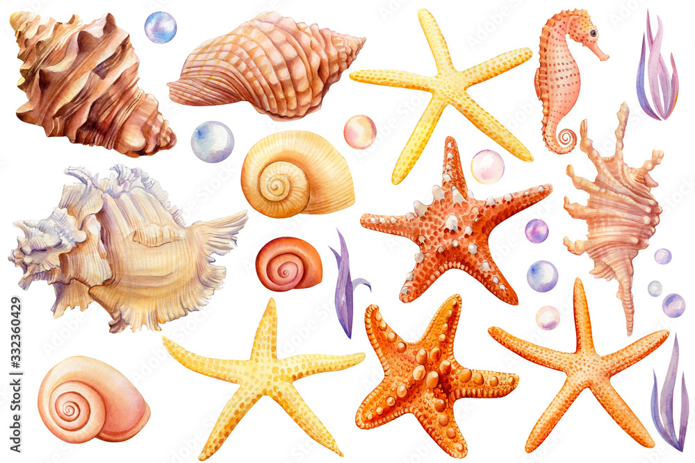 Summer sea clipart, watercolor set of seashells, seahorse, starfish ...