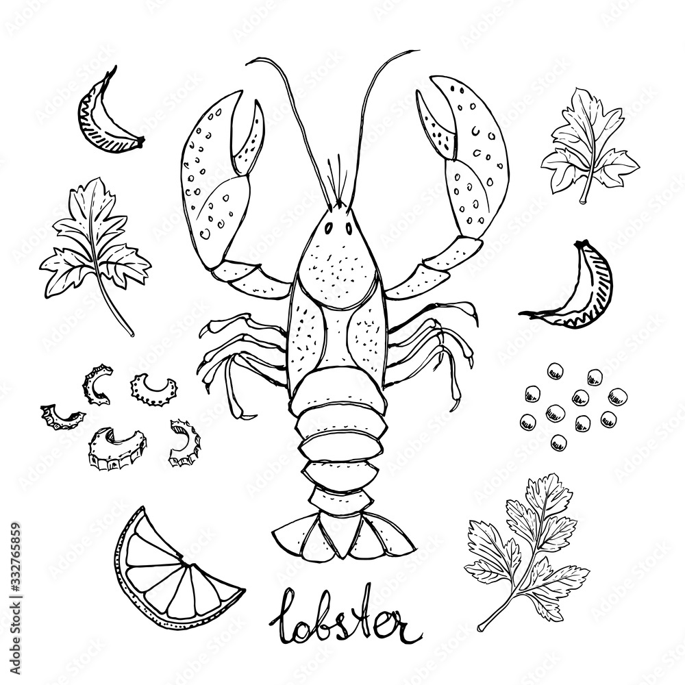 Seafood recipe ingredients with lobster. Black line sketch of lobster ...