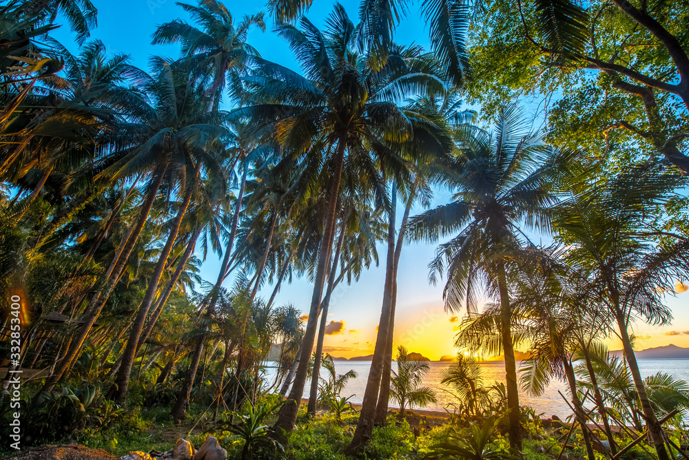 Coastal Scenery of El Nido, Palawan Island, The Philippines, a Popular ...