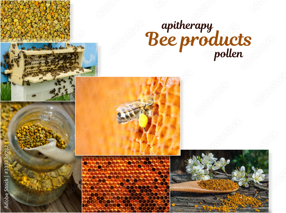 Pollen. The healing properties of pollen. As bees collect pollen ...