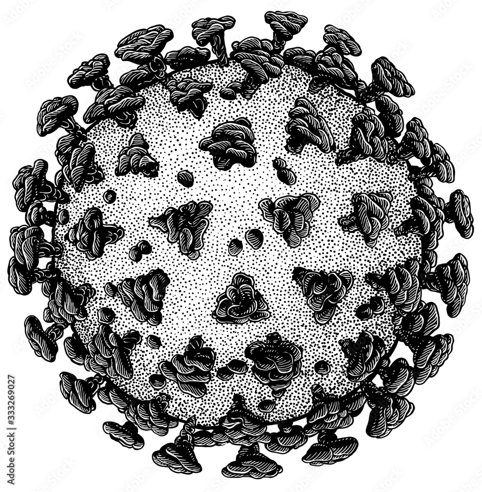 Coronavirus virus, bacteria illustration, drawing, engraving, ink, line ...