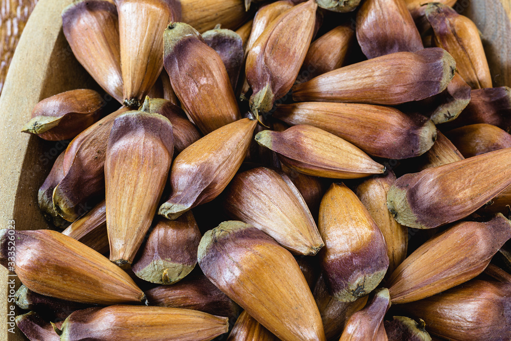 Pinhão is the generic name of the seed of several species of pinaceaes ...