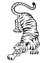 Crouching Tiger Free Stock Photo - Public Domain Pictures