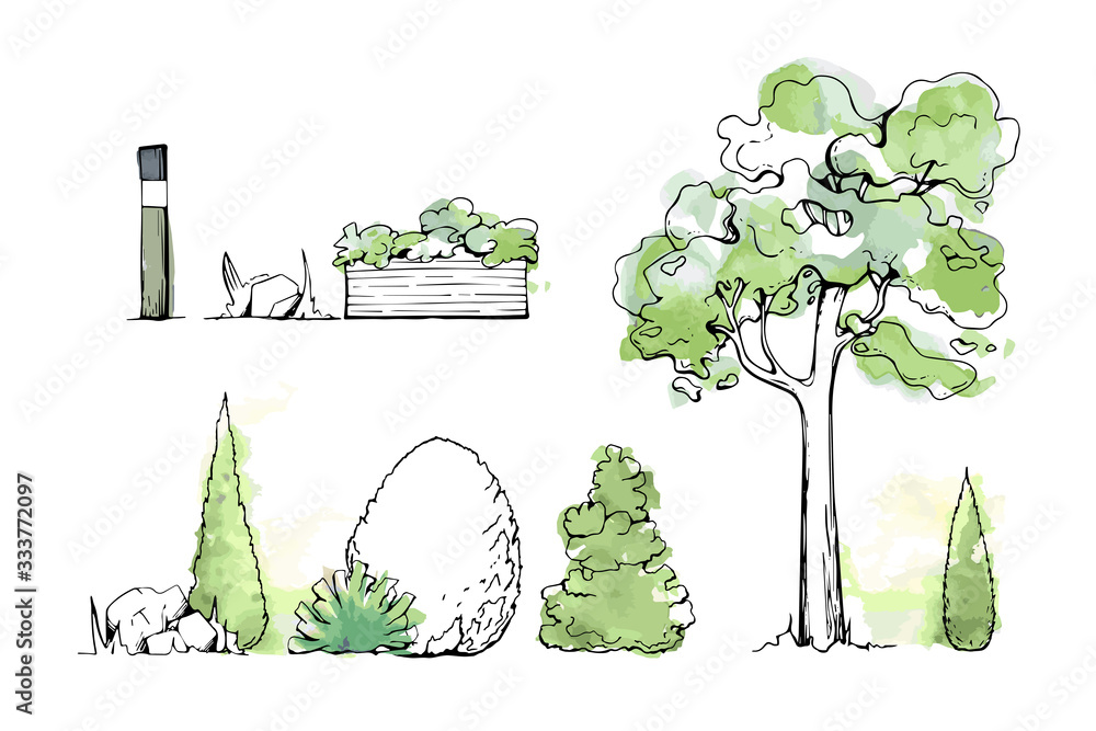 How To Draw Trees Landscape Architecture