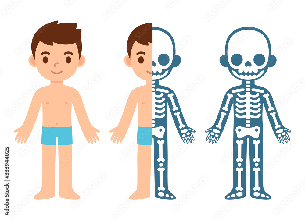 Cartoon boy skeleton Stock Vector | Adobe Stock