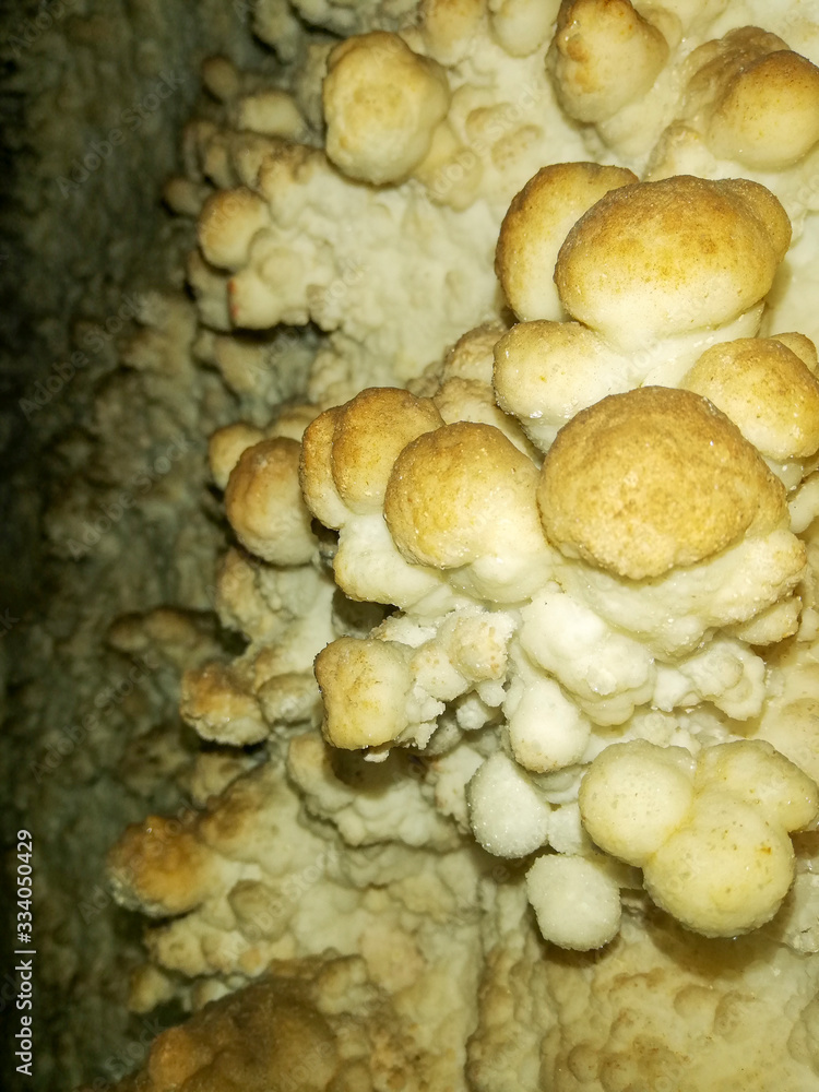 formaciones geológicas en una gruta o caverna Stock Photo | Adobe Stock