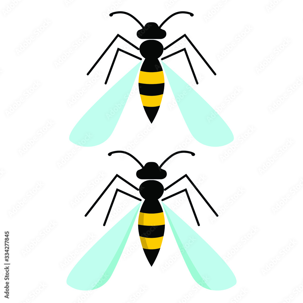 Vector illustration of an insect. Diagram with labeled parts of a wasp ...