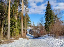 Hibernation, Winter, Forest Free Stock Photo - Public Domain Pictures