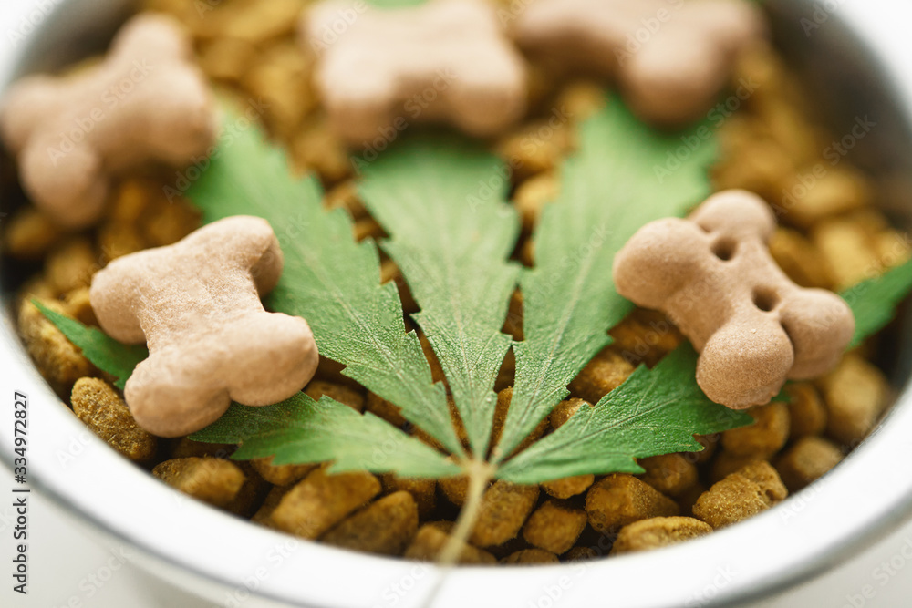 CBD food for Dogs Wellness, Natural supplements for animals and pets ...