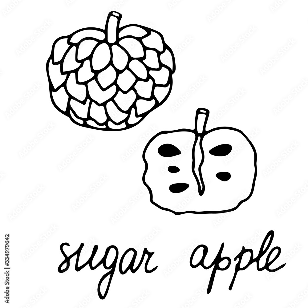 Hand drawn vector isolated food icon. Black outline illustration of ...