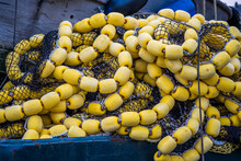 Yellow Fishing Net Free Stock Photo - Public Domain Pictures