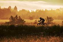 Come Early Free Stock Photo - Public Domain Pictures