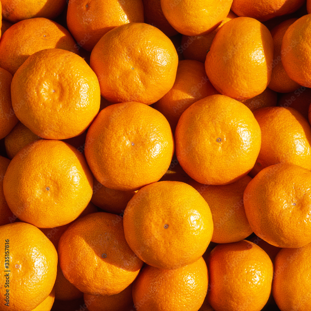 Many fresh ripe satsuma mandarin (Citrus unshiu) Closeup background ...