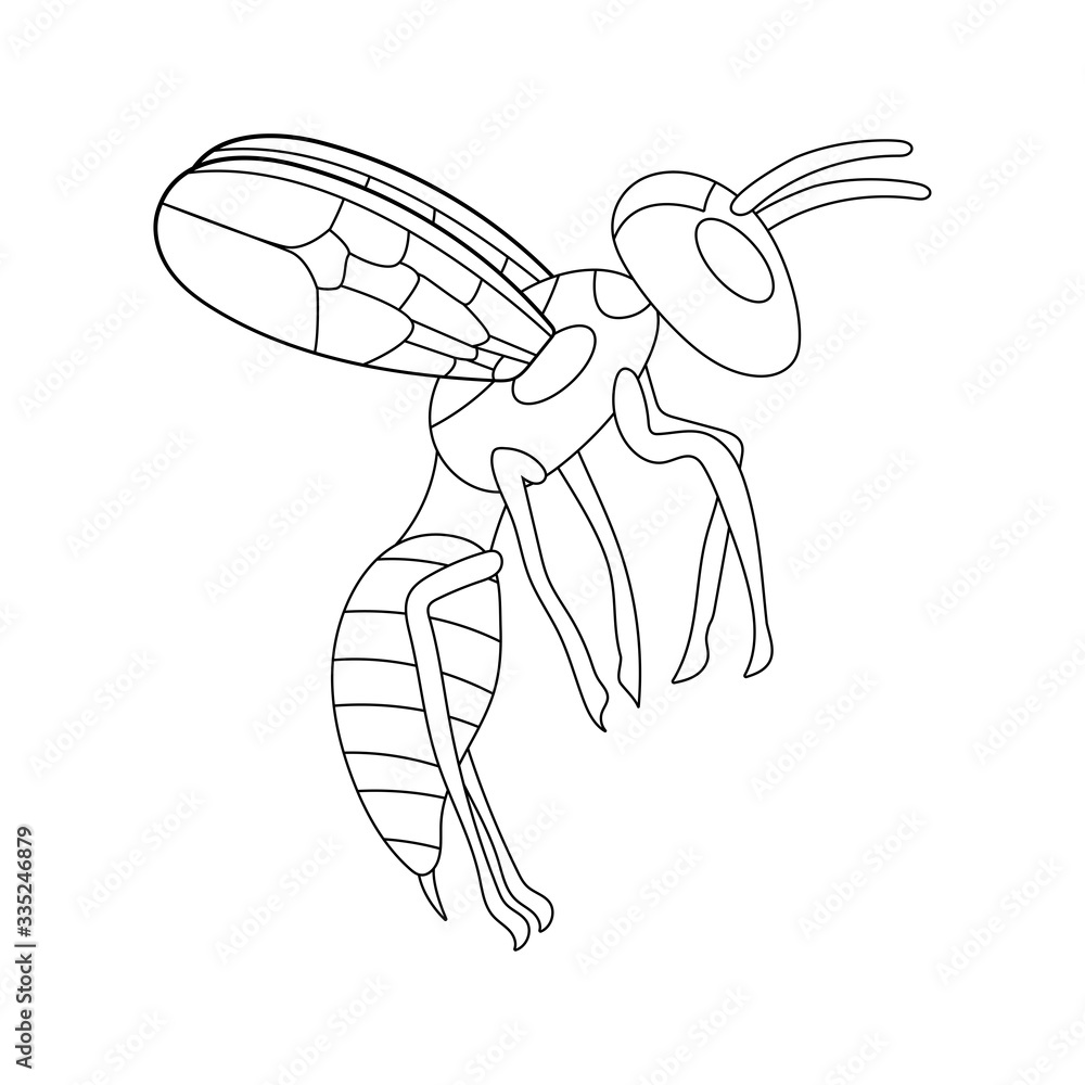 cartoon flying wasp outline. white background isolated vector ...